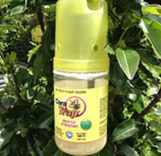 Methods for detection - Fruit Fly ID Australia